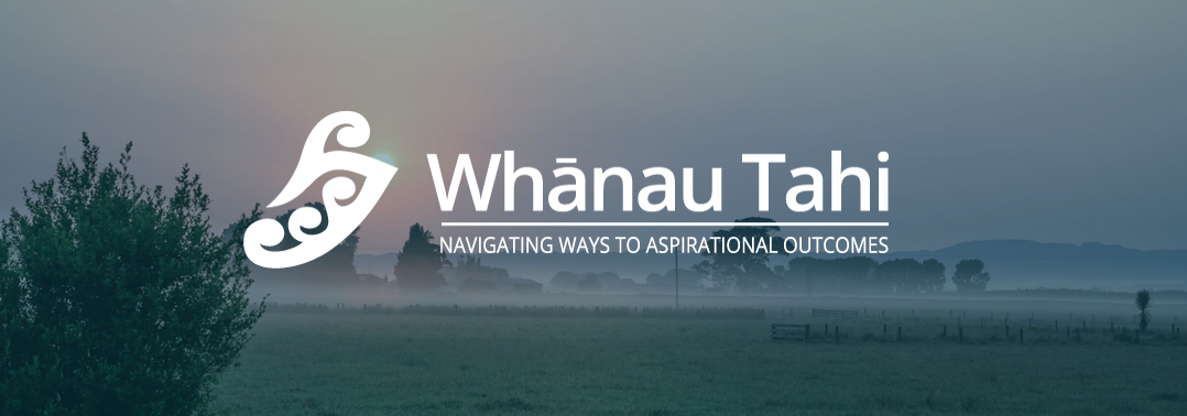 Whānau Tahi - Crayon