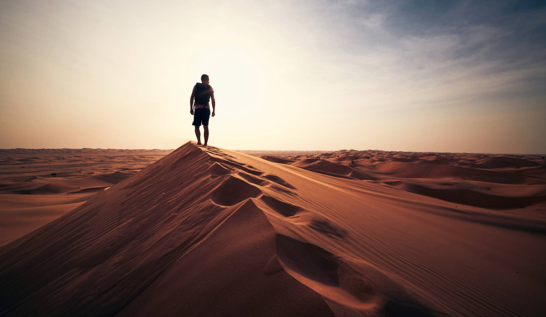 Pure Optimization - Crayon