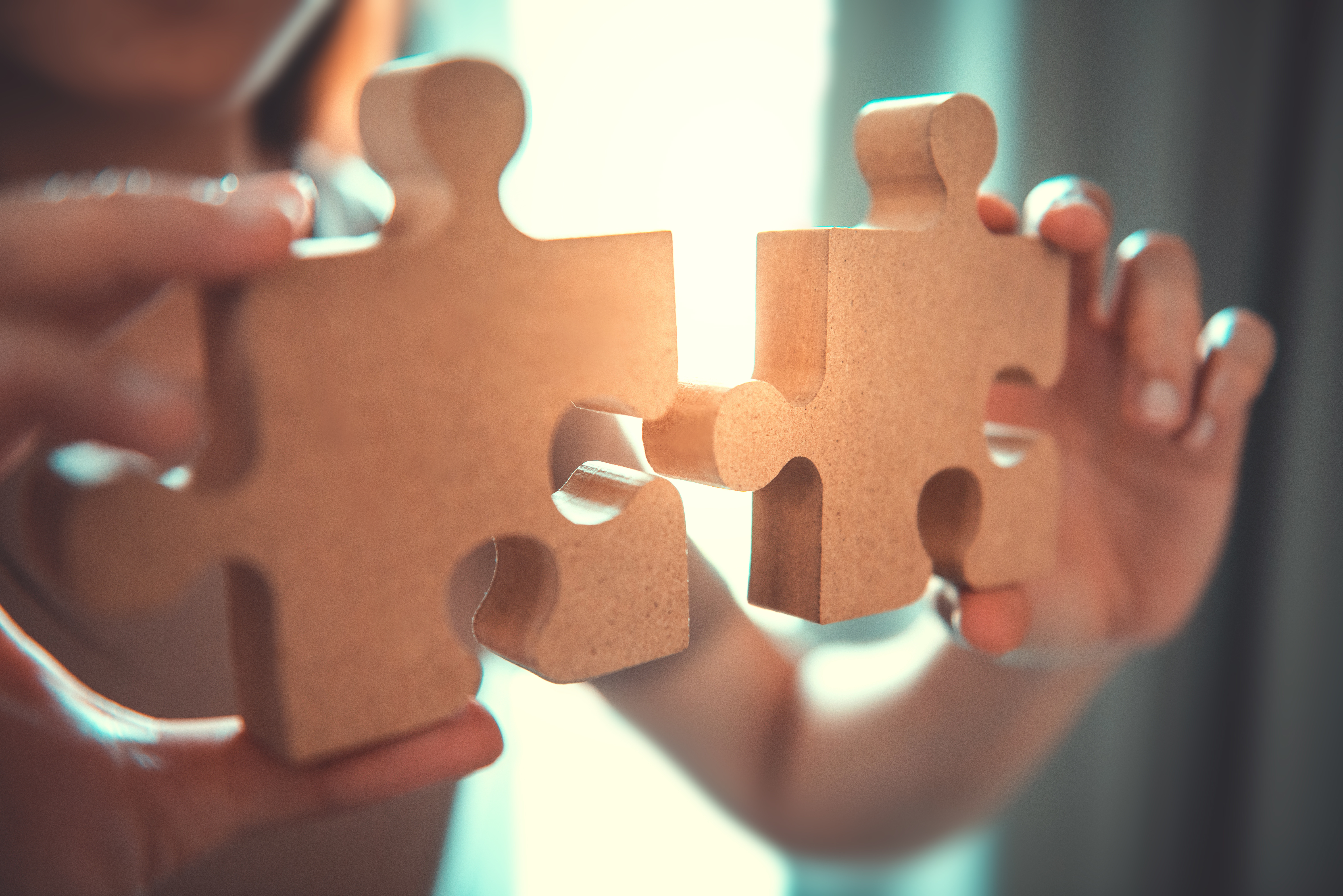 Crayon and rhipe Complete Brand Integration: Unified Strength for ...