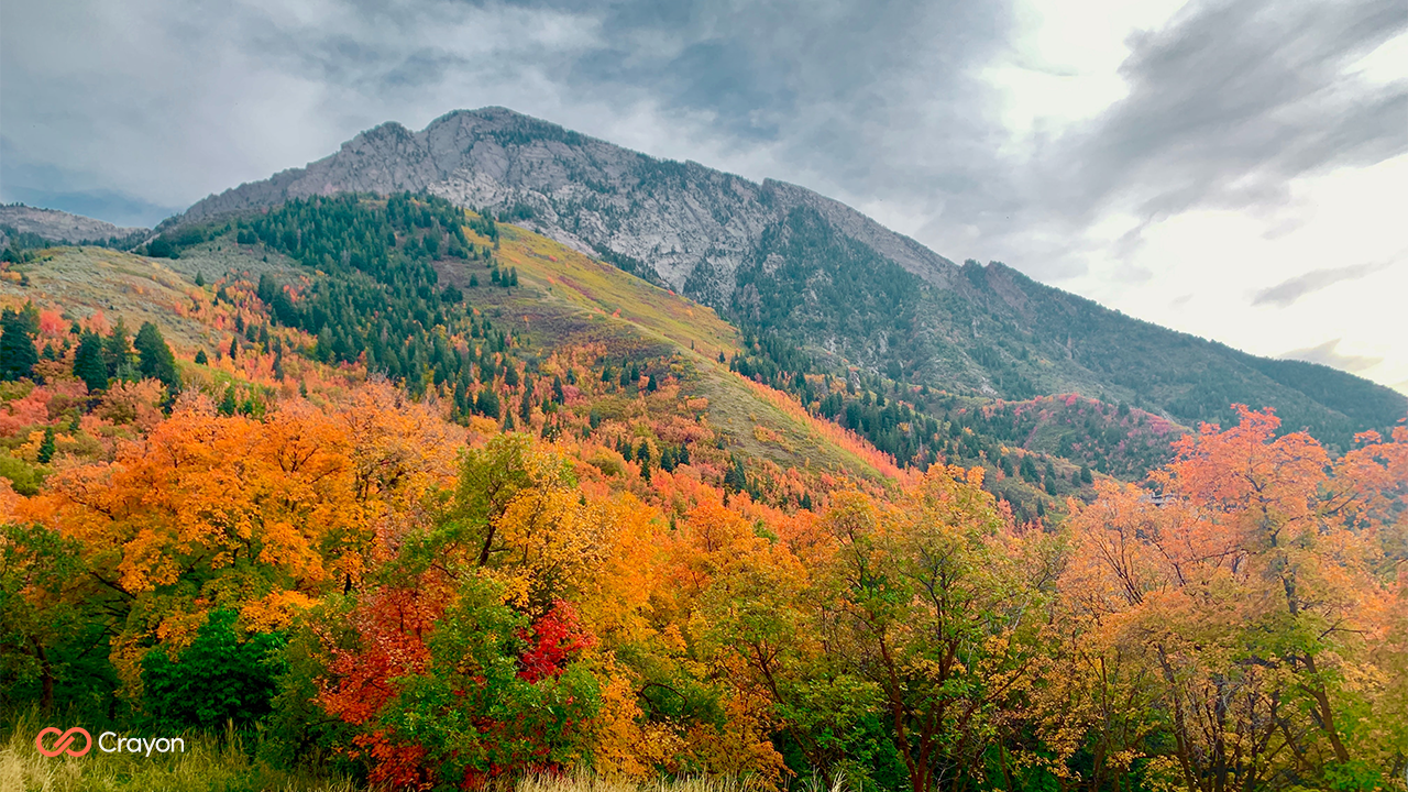 Top 35 Imagen Fall Teams Background Images Thpthoangv - vrogue.co